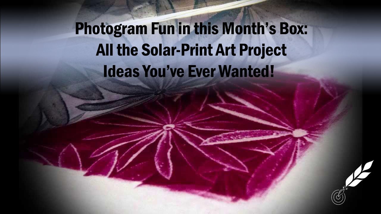 Photogram Fun in this Month’s Box: All the Solar-Print Art Project Ide ...